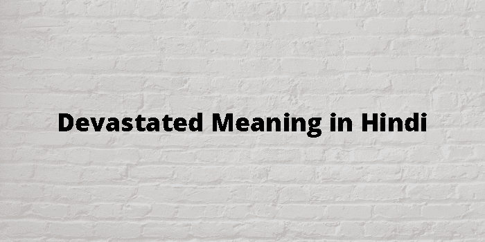 Devastated Meaning In Hindi - हिंदी अर्थ