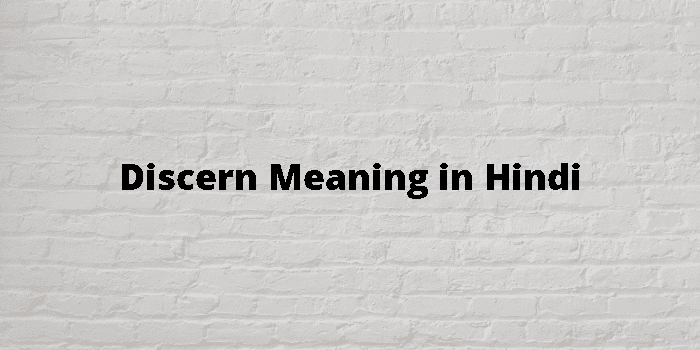 Discern Meaning In Hindi - हिंदी अर्थ