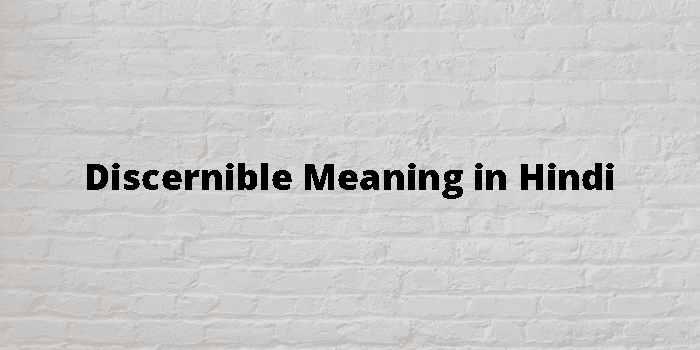 Discernible Meaning In Hindi - हिंदी अर्थ
