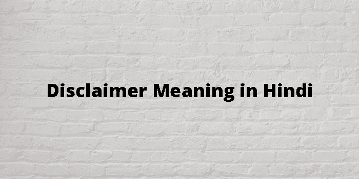 Disclaimer Meaning In Hindi - हिंदी अर्थ