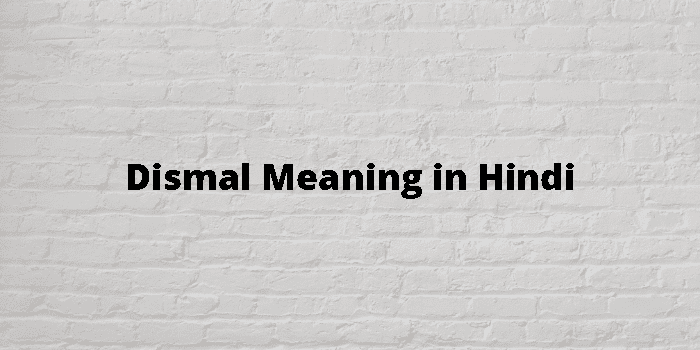 Dismal Meaning In Hindi - हिंदी अर्थ