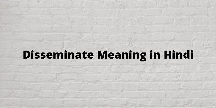 Disseminate Meaning In Hindi - हिंदी अर्थ