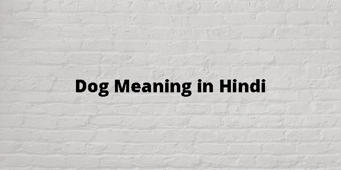 Dog Meaning In Hindi - हिंदी अर्थ