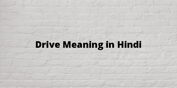 Drive Meaning In Hindi - हिंदी अर्थ