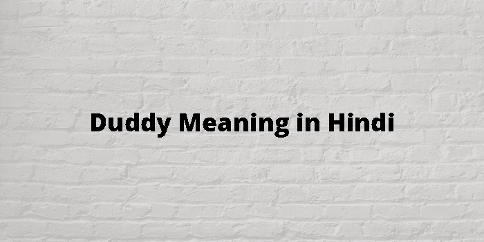 Duddy Meaning In Hindi - हिंदी अर्थ