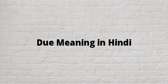 Due Meaning In Hindi - हिंदी अर्थ