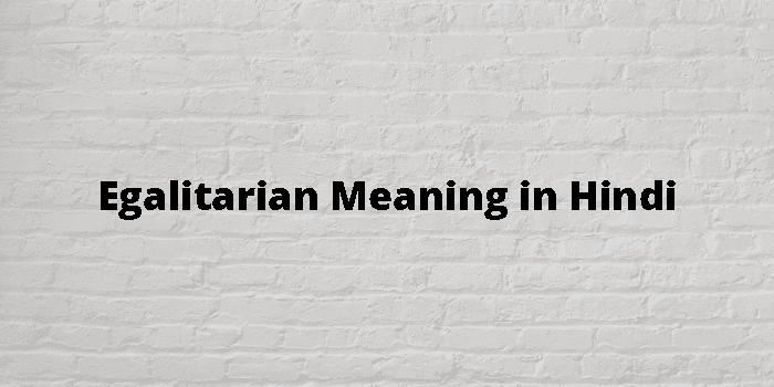 Egalitarian Meaning In Hindi - हिंदी अर्थ