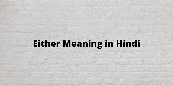 Either Meaning In Hindi - हिंदी अर्थ