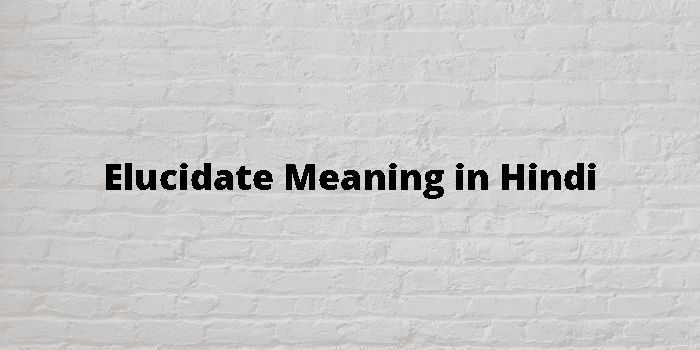 Elucidate Meaning In Hindi - हिंदी अर्थ