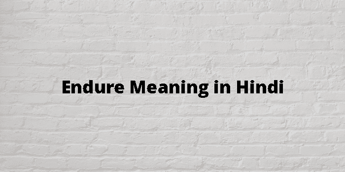 Endure Meaning In Hindi - हिंदी अर्थ