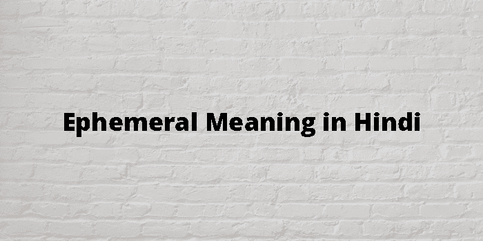 Ephemeral Meaning In Hindi - हिंदी अर्थ