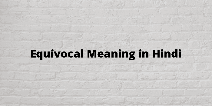 Equivocal Meaning In Hindi - हिंदी अर्थ