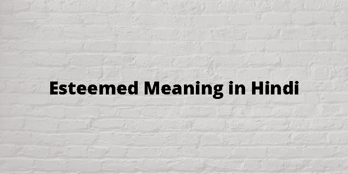 Esteemed Meaning In Hindi - हिंदी अर्थ