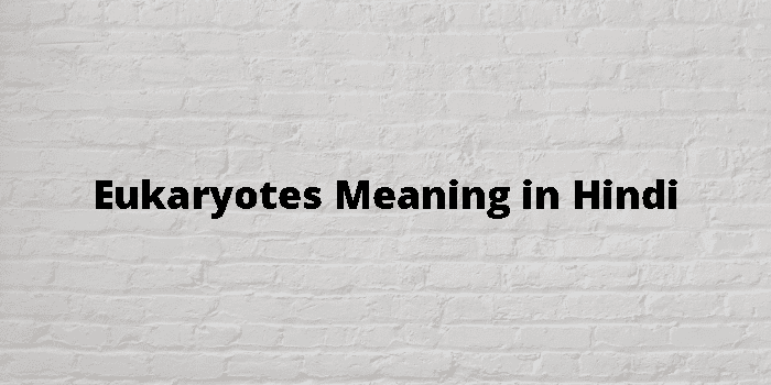 Eukaryotes Meaning In Hindi - हिंदी अर्थ