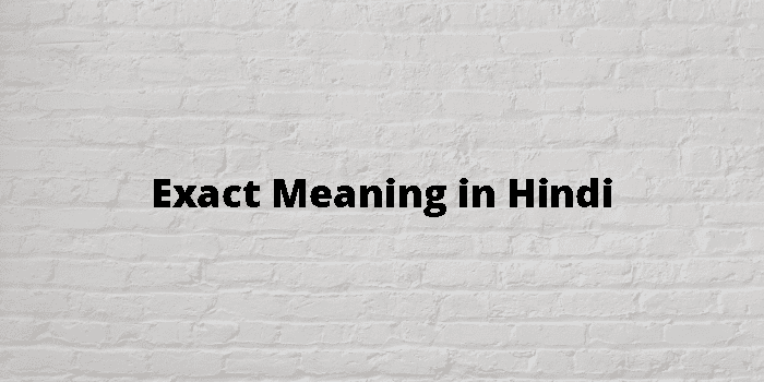 Exact Meaning In Hindi - हिंदी अर्थ