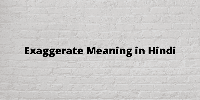 Exaggerate Meaning In Hindi - हिंदी अर्थ