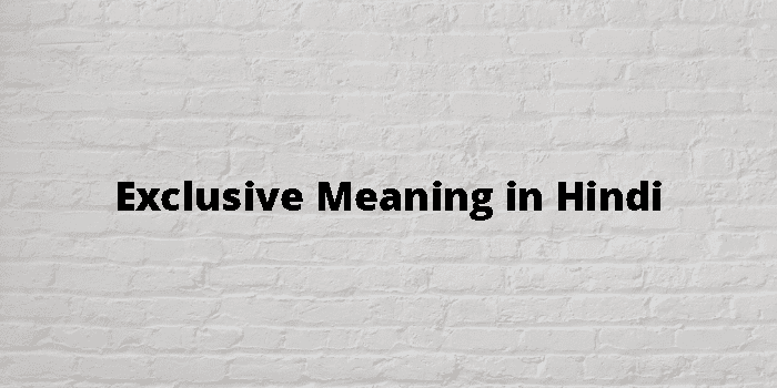Exclusive Meaning In Hindi - हिंदी अर्थ
