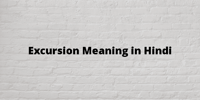 Excursion Meaning In Hindi - हिंदी अर्थ