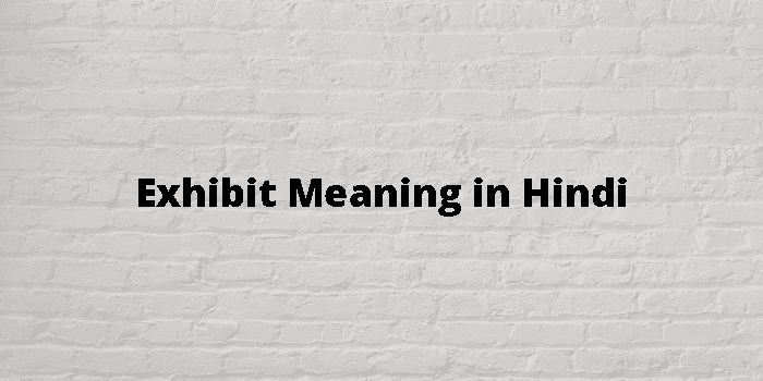 Exhibit Meaning In Hindi - हिंदी अर्थ