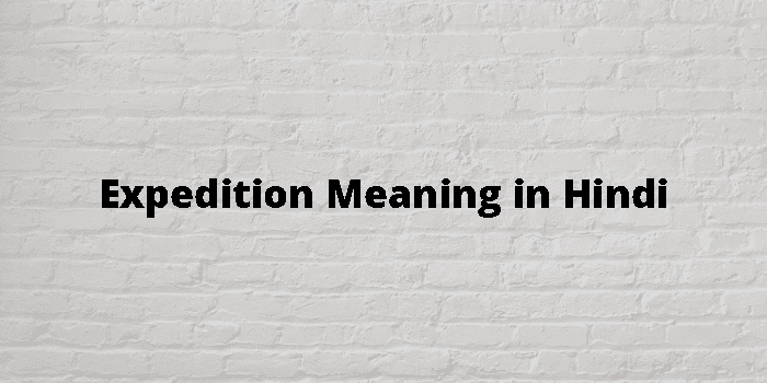Expedition Meaning In Hindi - हिंदी अर्थ