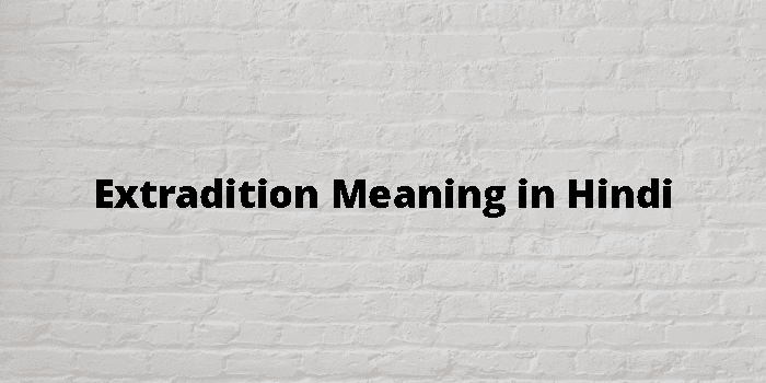 Extradition Meaning In Hindi - हिंदी अर्थ