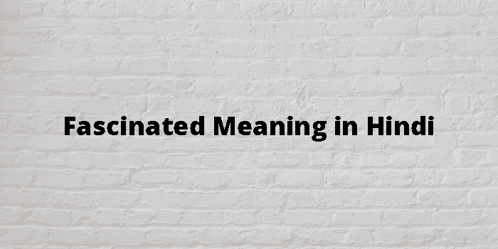 Fascinated Meaning In Hindi - हिंदी अर्थ