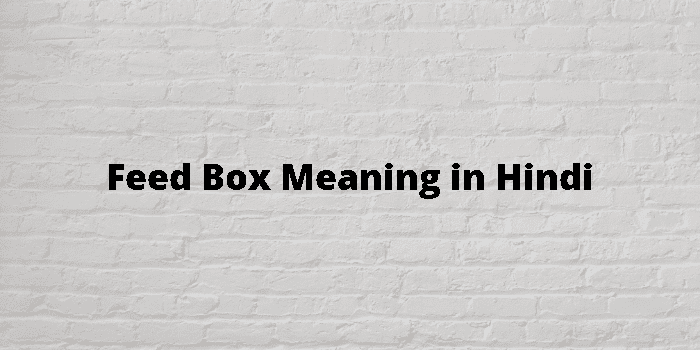 Feed Box Meaning In Hindi - हिंदी अर्थ