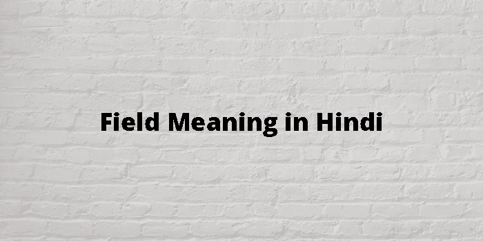 Field Meaning In Hindi - हिंदी अर्थ
