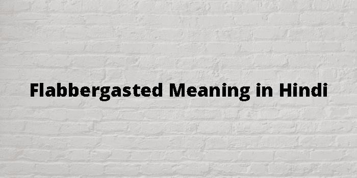 Flabbergasted Meaning In Hindi - हिंदी अर्थ