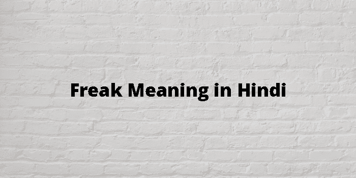 Freak Meaning In Hindi - हिंदी अर्थ