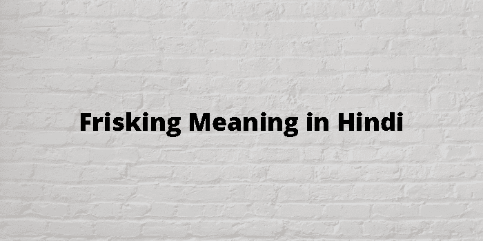 Frisking Meaning In Hindi - हिंदी अर्थ