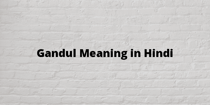 Gandul Meaning In Hindi - हिंदी अर्थ