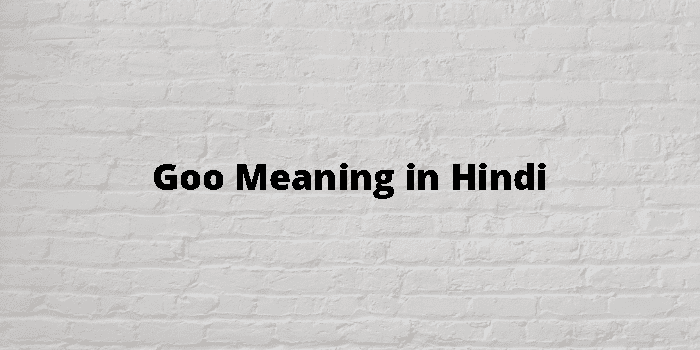 Goo Meaning In Hindi - हिंदी अर्थ