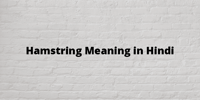 Hamstring Meaning In Hindi - हिंदी अर्थ