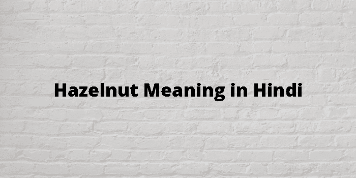 Hazelnut Meaning In Hindi - हिंदी अर्थ