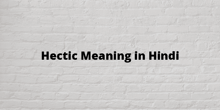 Hectic Meaning In Hindi - हिंदी अर्थ
