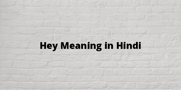 Hey Meaning In Hindi - हिंदी अर्थ