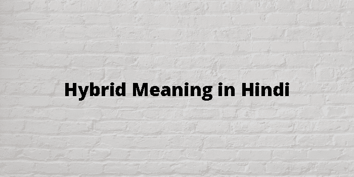 Hybrid Meaning In Hindi - हिंदी अर्थ