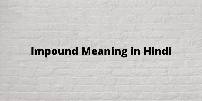 Impound Meaning In Hindi - हिंदी अर्थ