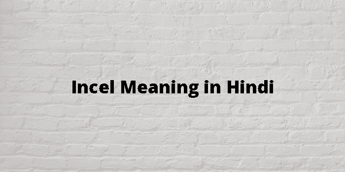 Incel Meaning In Hindi - हिंदी अर्थ