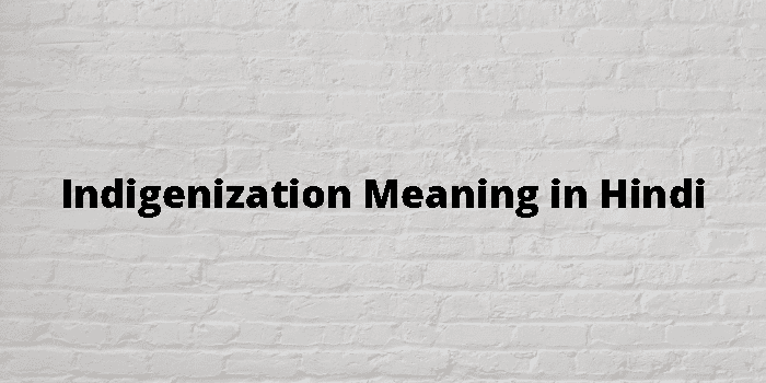 Indigenization Meaning In Hindi - हिंदी अर्थ
