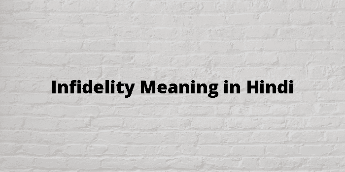 Infidelity Meaning In Hindi - हिंदी अर्थ