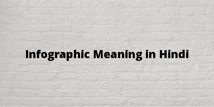 Infographic Meaning In Hindi - हिंदी अर्थ