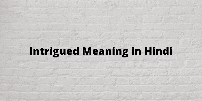 Intrigued Meaning In Hindi - हिंदी अर्थ