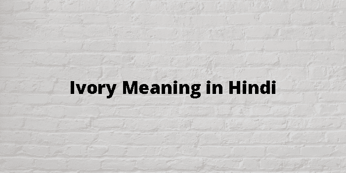 Ivory Meaning In Hindi - हिंदी अर्थ