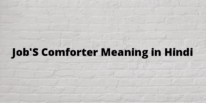 Comforter meaning in hindi store