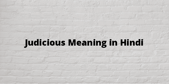 Judicious Meaning In Hindi - हिंदी अर्थ