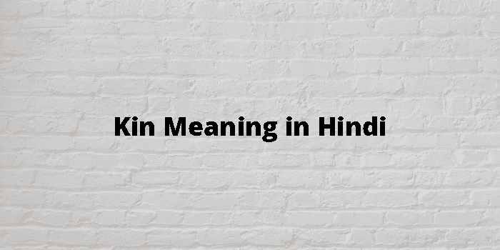 Kin Meaning In Hindi - हिंदी अर्थ