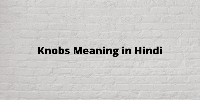 Knobs Meaning In Hindi - हिंदी अर्थ