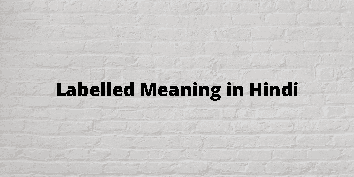 Labelled Meaning In Hindi - हिंदी अर्थ